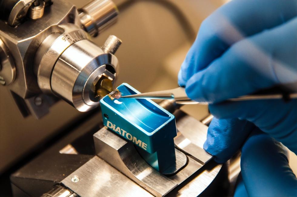 Forensiker werden: Aufgaben & Möglichkeiten | Superprof