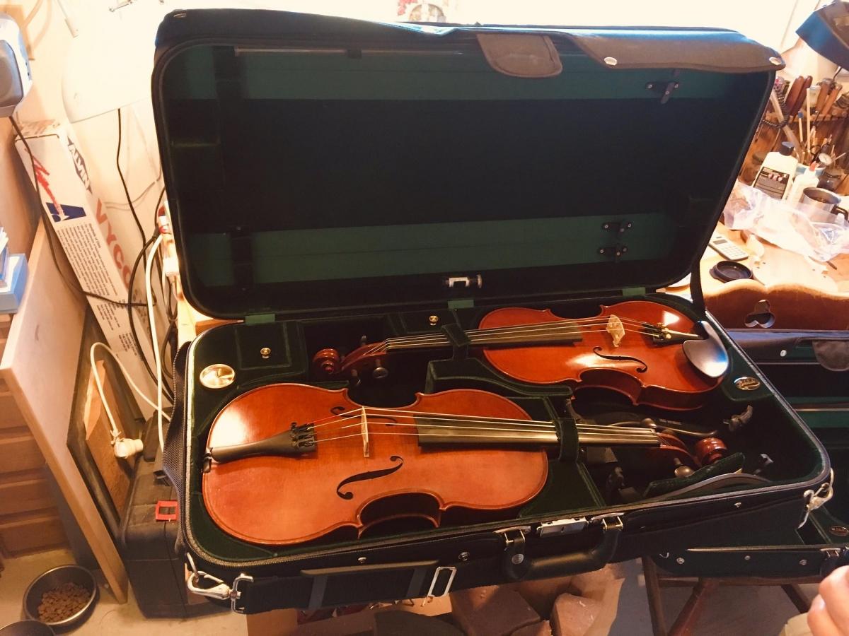 Die Bratsche: unser Instrumentenguide | Superprof