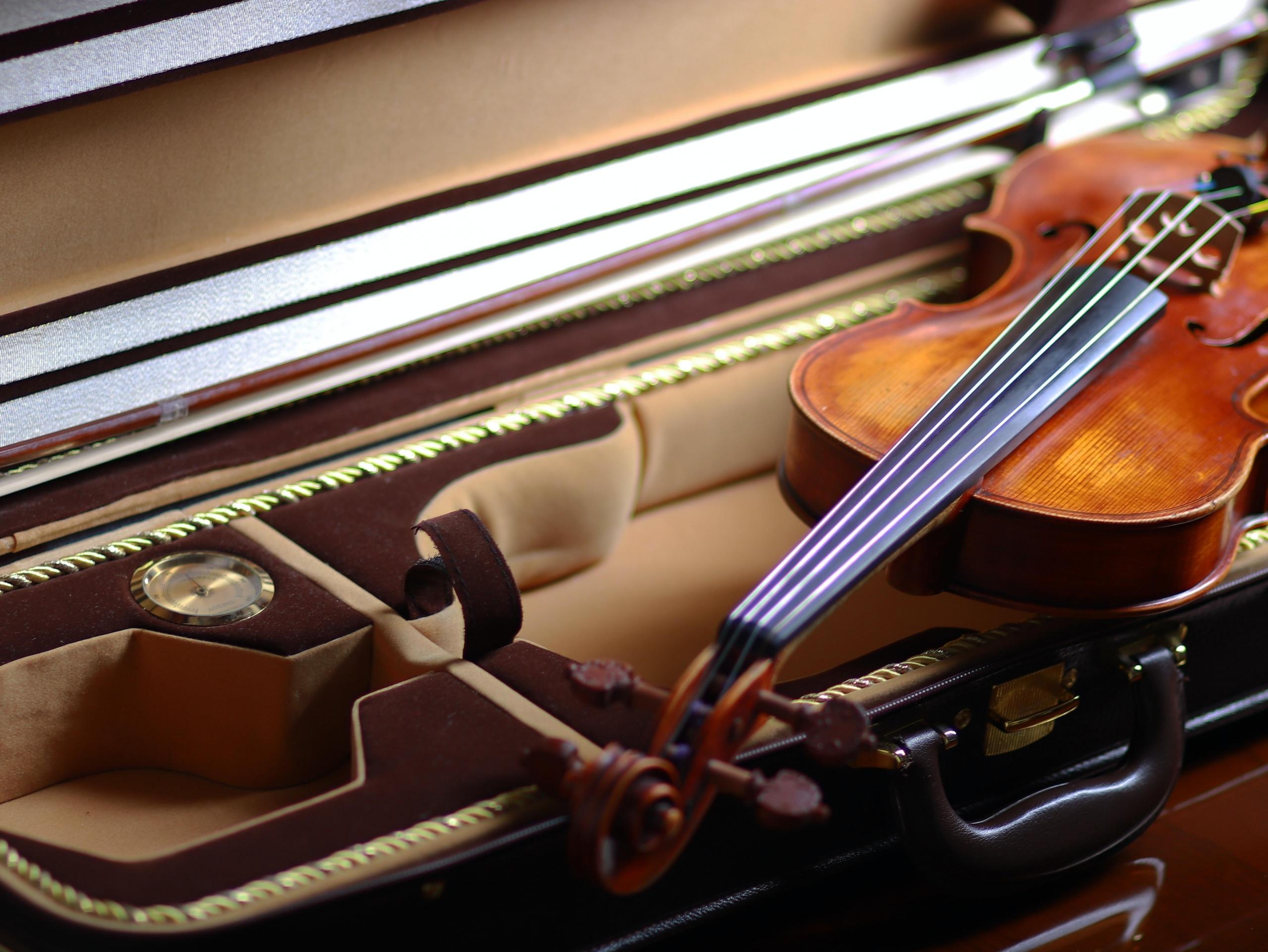 Die Bratsche: unser Instrumentenguide