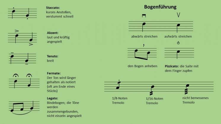 Noten lesen lernen für die Geige: Rundum-Guide | Superprof