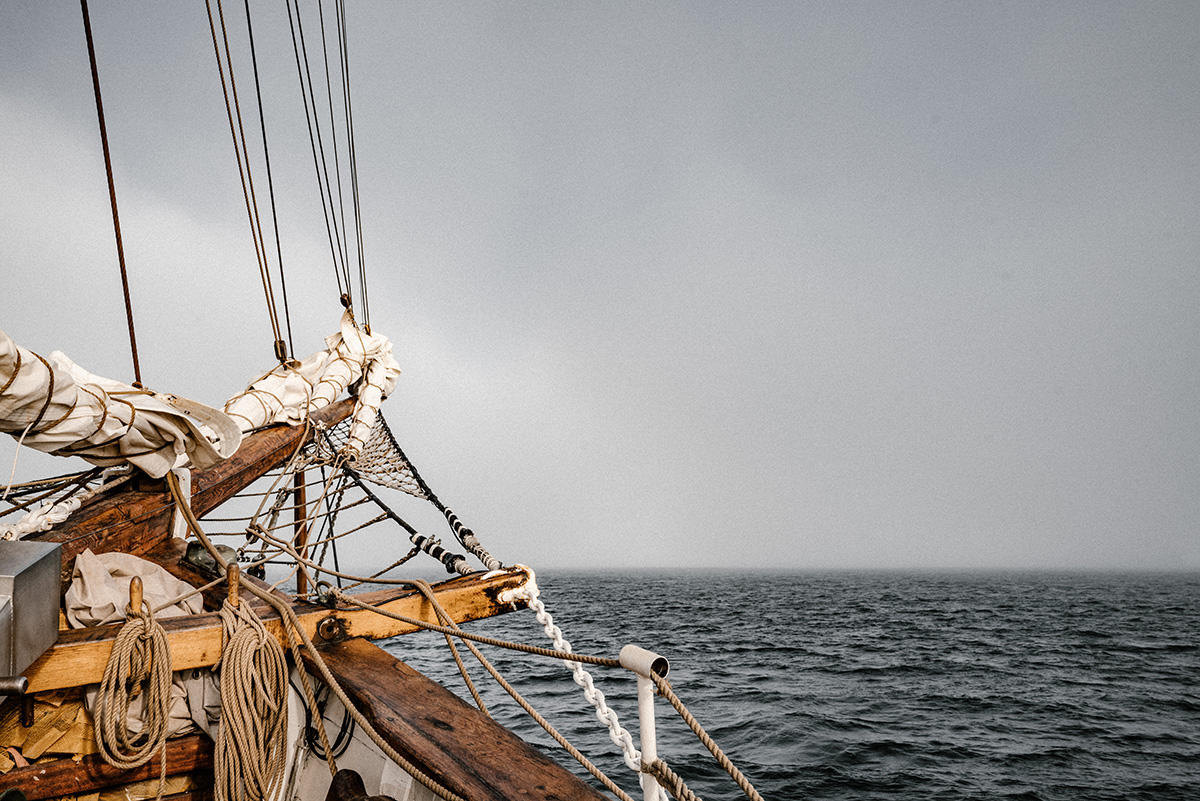 Was hat Vasco da Gama entdeckt? Auf den Spuren des Entdeckers
